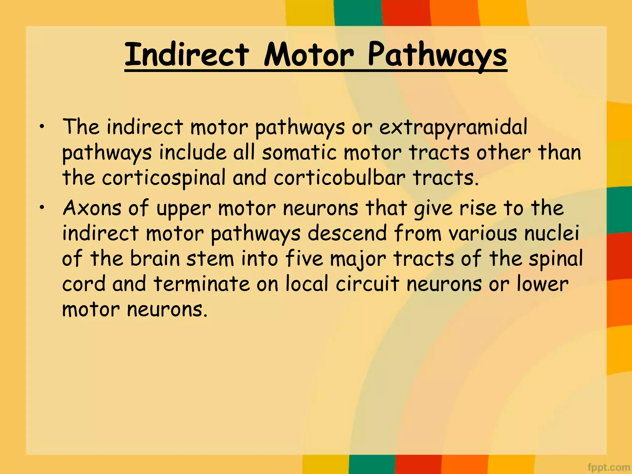 Motor pathways | PPT