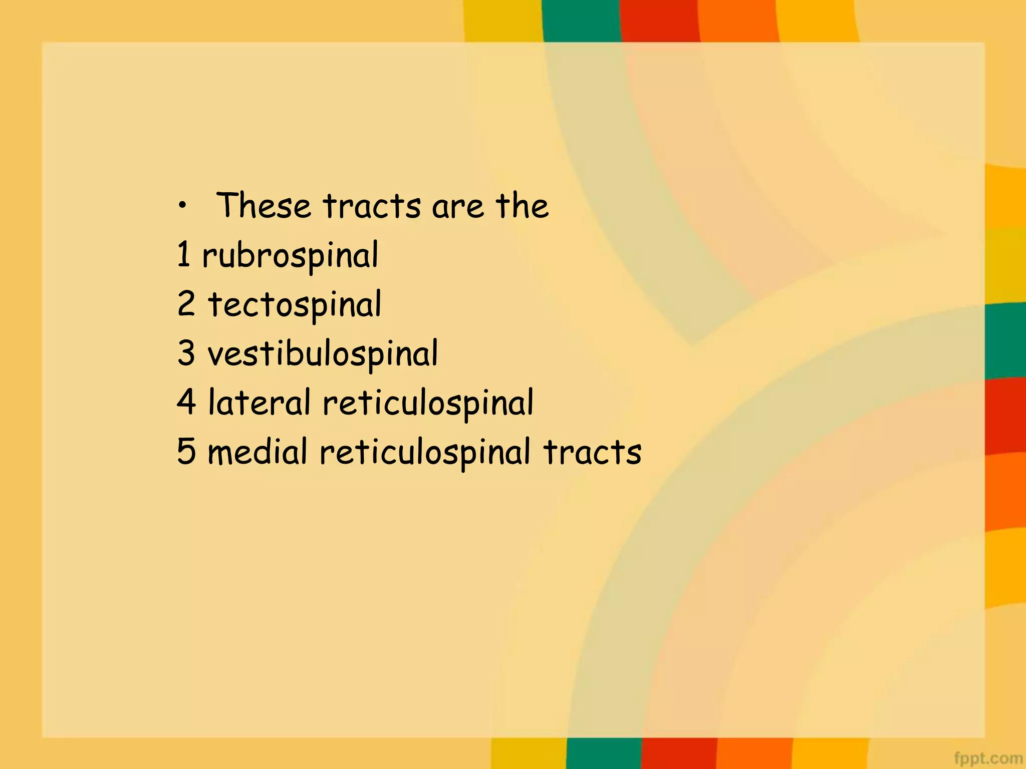 Motor pathways | PPT