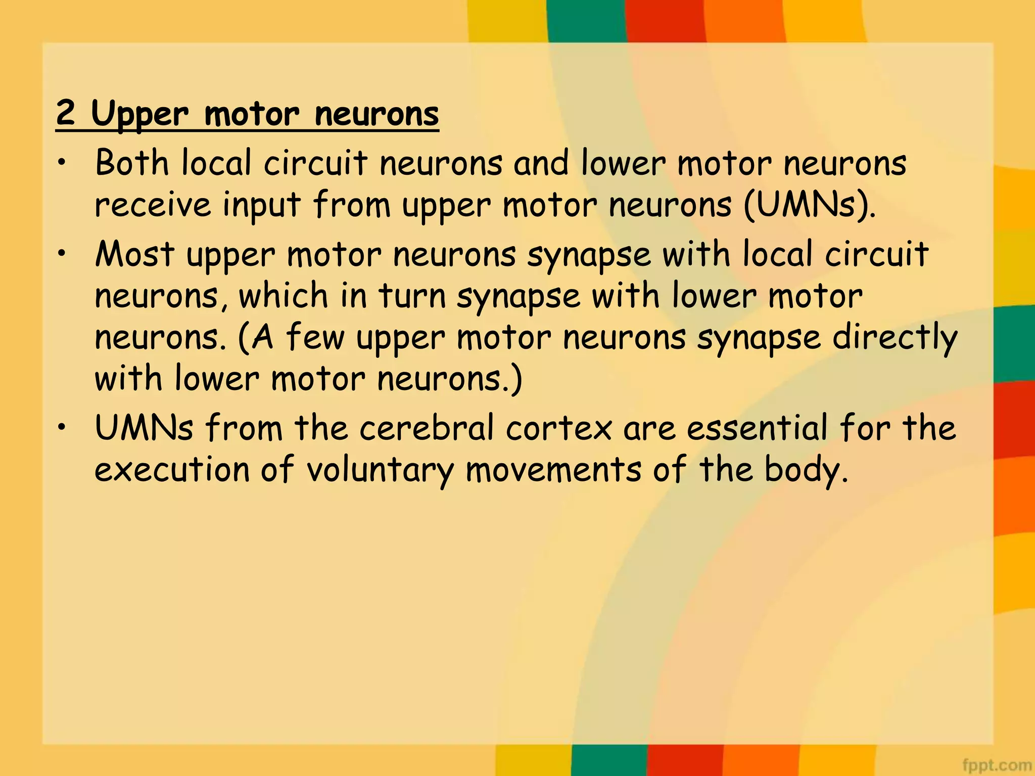 Motor pathways | PPT