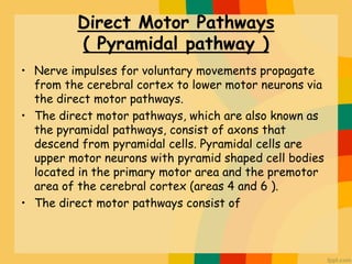 Motor pathways | PPT