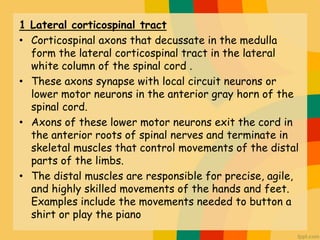 Motor pathways | PPT