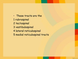 Motor pathways | PPT