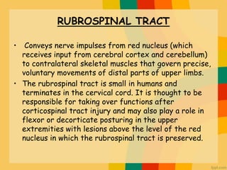 Motor pathways | PPT
