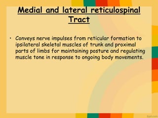 Motor pathways | PPT