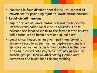 Motor pathways | PPT