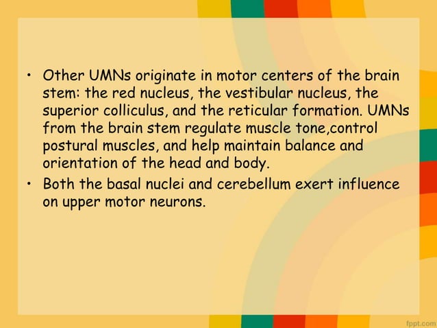 Motor pathways | PPT