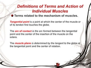 Motor physiology of the eye | PPT