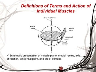 Motor physiology of the eye | PPT