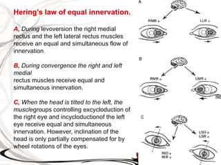 Motor physiology of the eye | PPT