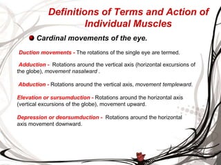 Motor physiology of the eye | PPT