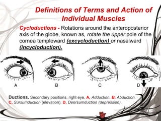 Motor physiology of the eye | PPT