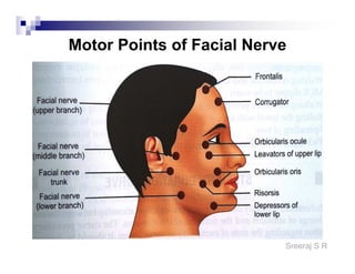 Motor Points Nerve Injuries.pdf