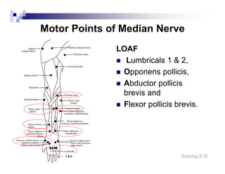 Motor Points Nerve Injuries.pdf