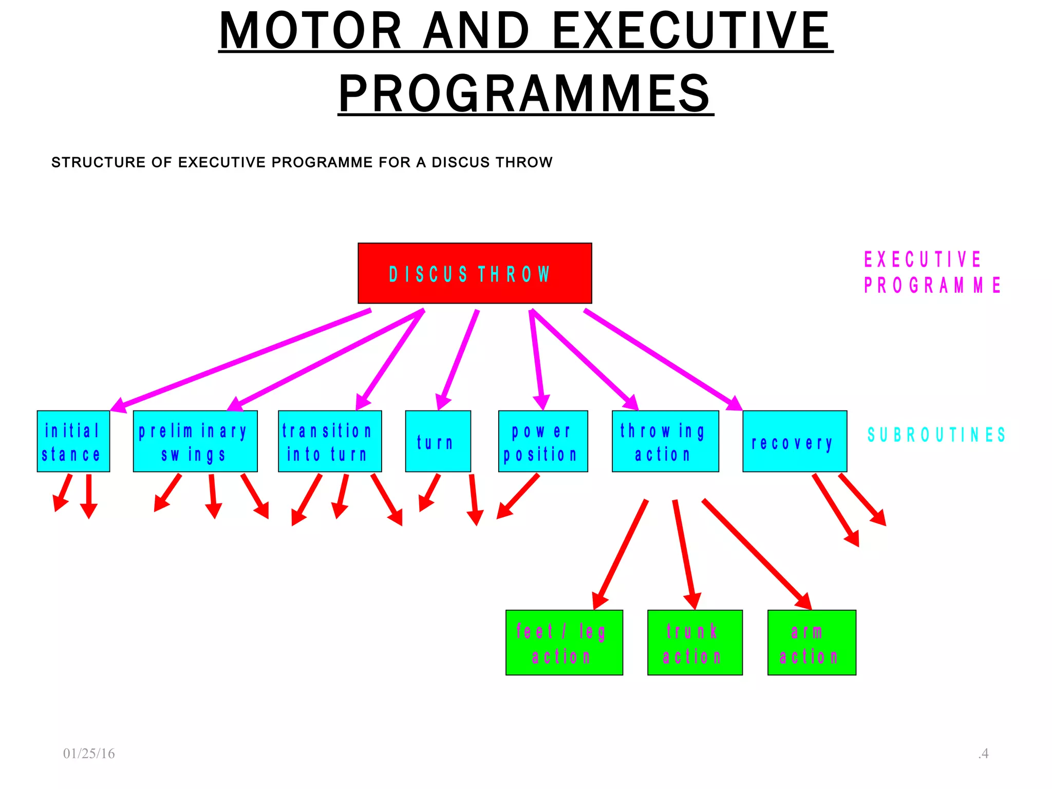 Motor programmes | PPT