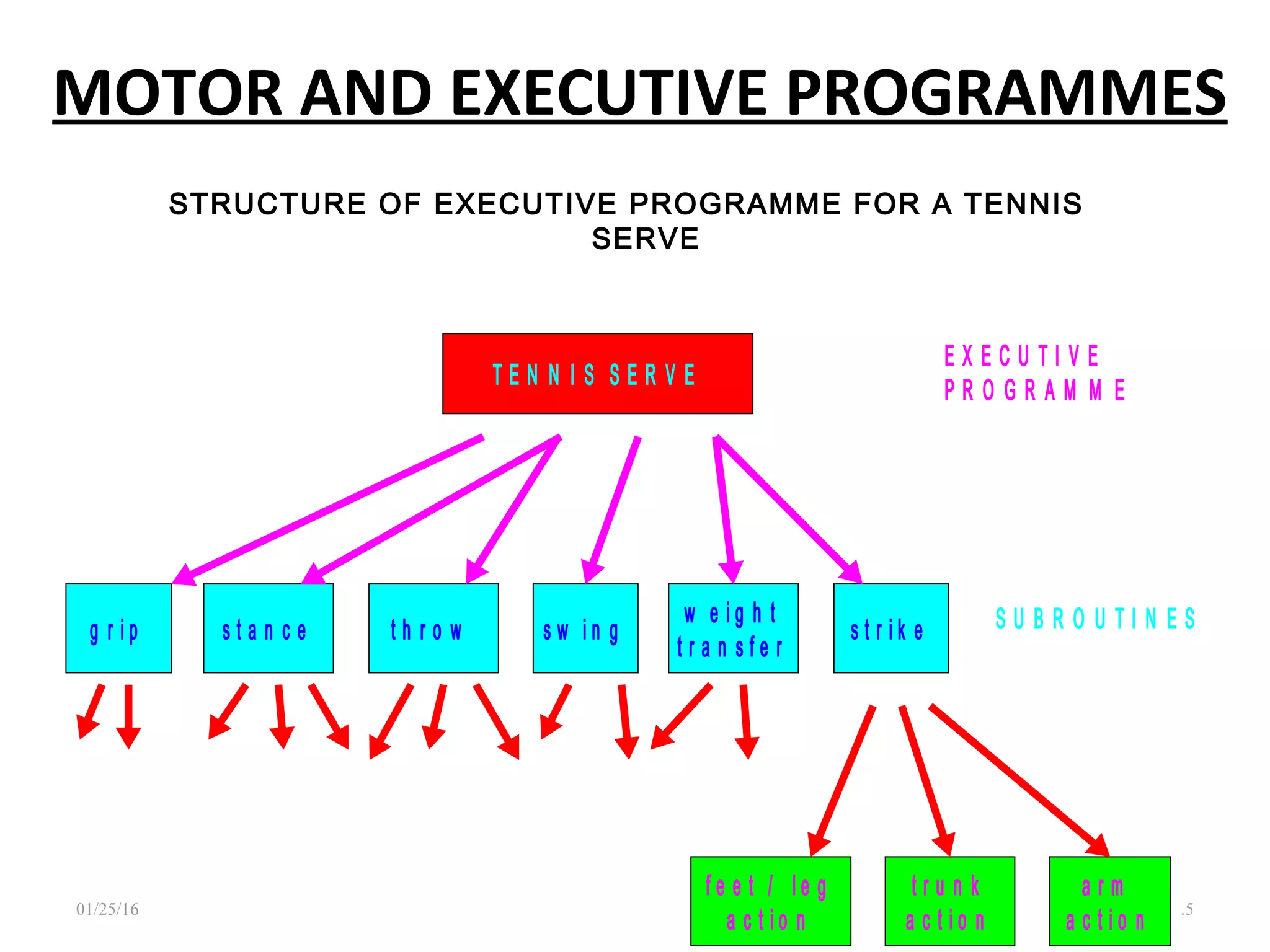 Motor programmes | PPT