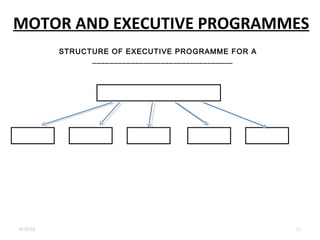 Motor programmes | PPT