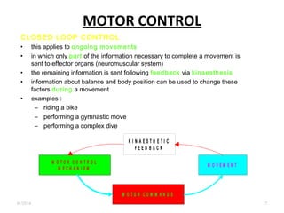 Motor programmes | PPT