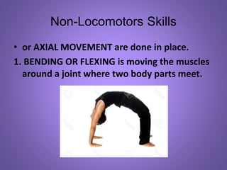 Locomotor and Non-Locomotor Movements | PPTX