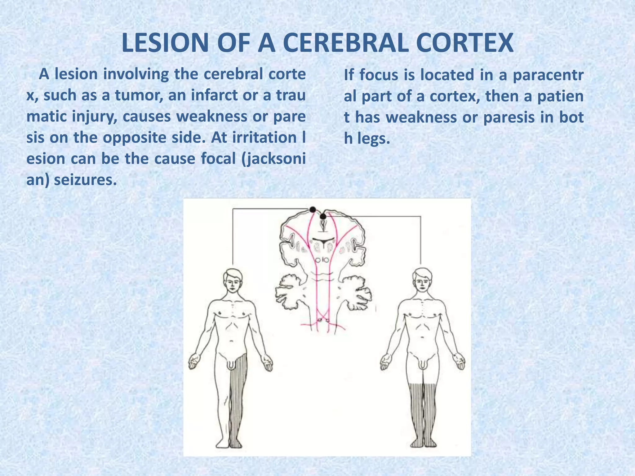 Motor System (Neurology 1) | PPTX