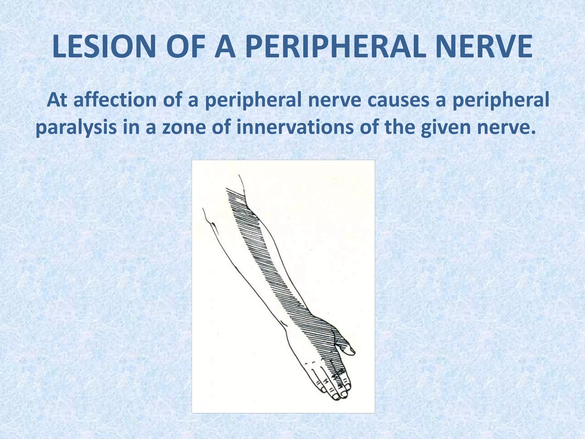 Motor System (Neurology 1) | PPTX