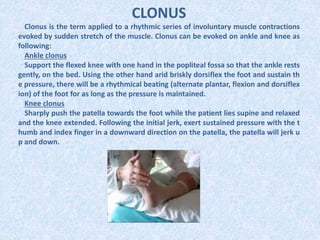 Motor System (Neurology 1) | PPTX
