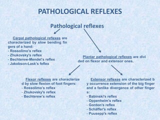 Motor System (Neurology 1) | PPTX