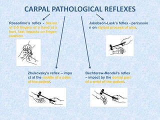 Motor System (Neurology 1) | PPTX