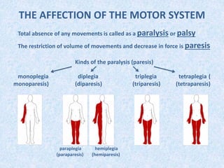 Motor System (Neurology 1) | PPTX