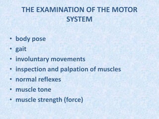 motor system-1.ppt