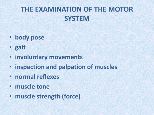 motor system-1.ppt