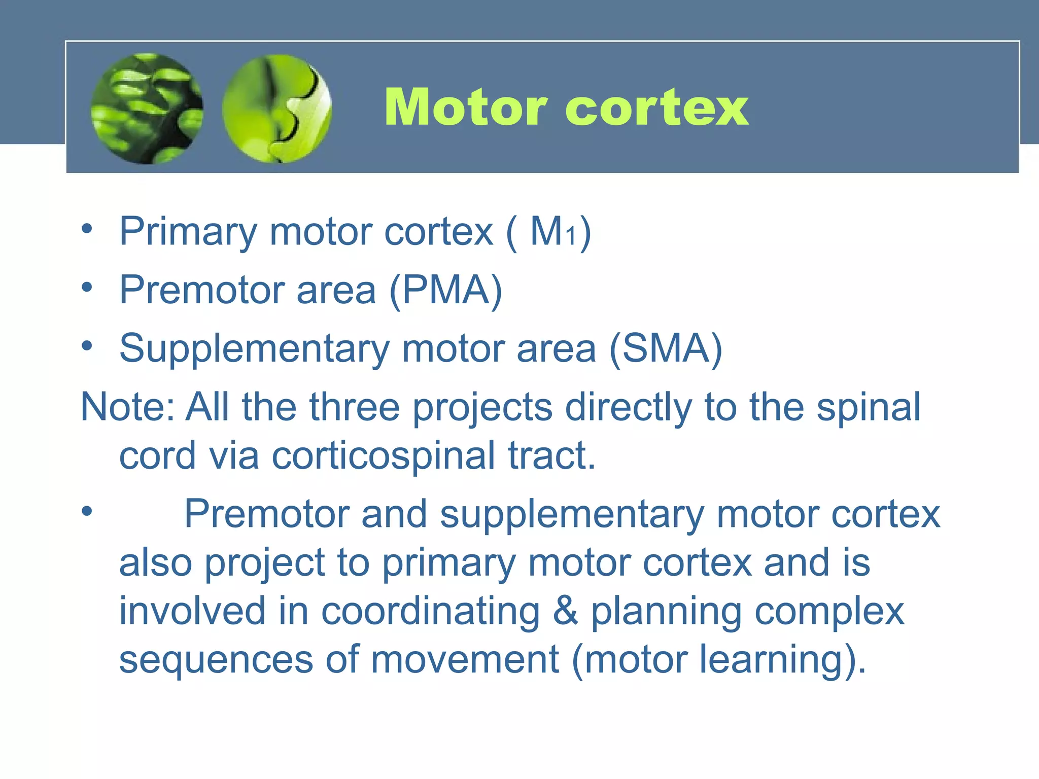 Motor system | PPT