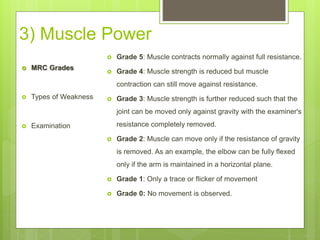 Muscle Grading System Motor