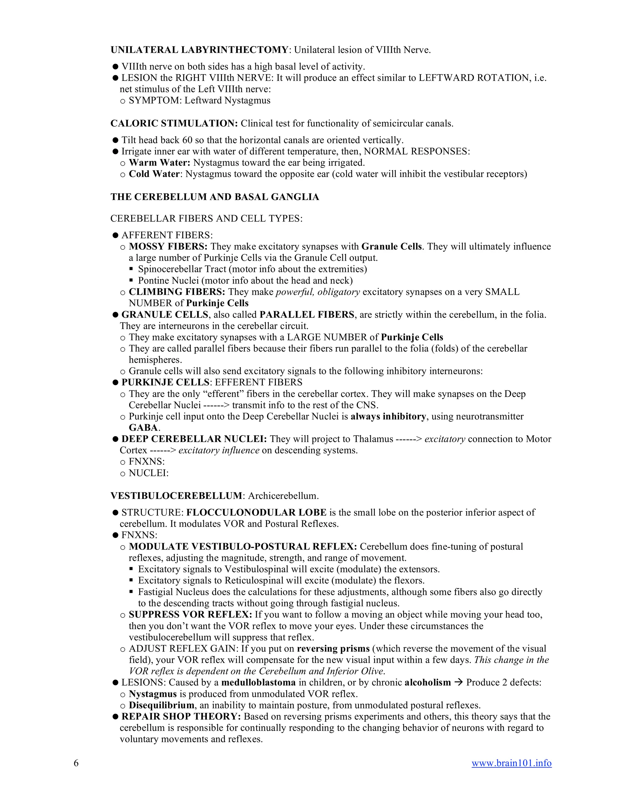 Motor System (Neurology 2) | PDF