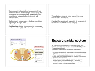 Motor system. Extrapyramydal system. (1,2,3 lectures).pdf