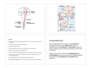 Motor system. Extrapyramydal system. (1,2,3 lectures).pdf