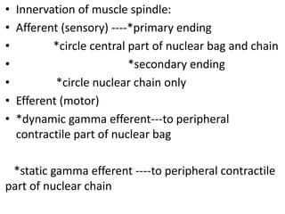 motor system.pptx
