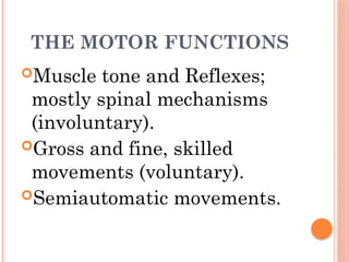 Motor System.pptxffffrrreeew22211tfcsyehe | PPT