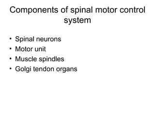 motor anatomy airway management | PDF