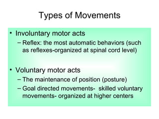 motor anatomy airway management | PDF