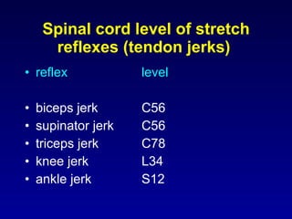 Motor system1 reflexes | PPT