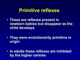 Motor system1 reflexes | PPT