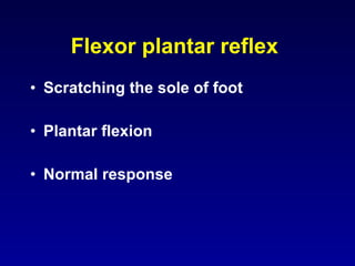 Is Scratching A Reflex