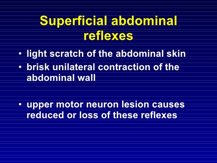 Motor system1 reflexes