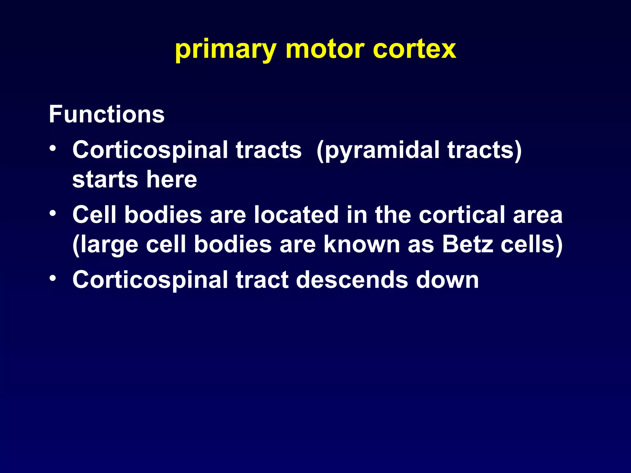 Motor system2 pathways | PPT