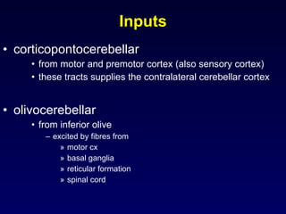 Motor system3 cerebellum | PPT