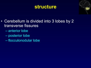 Motor system3 cerebellum | PPT