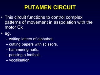 Motor system4 basal ganglia undergraduates | PPT
