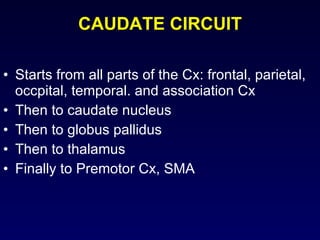Motor system4 basal ganglia undergraduates | PPT