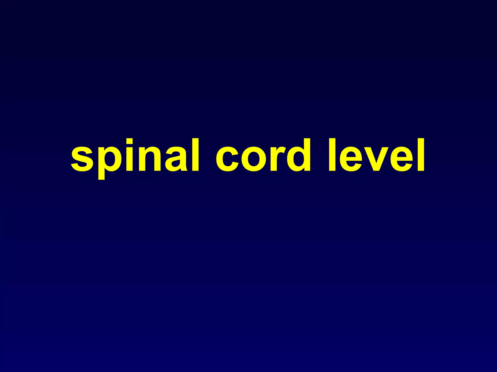 Motor system5 posture | PPT