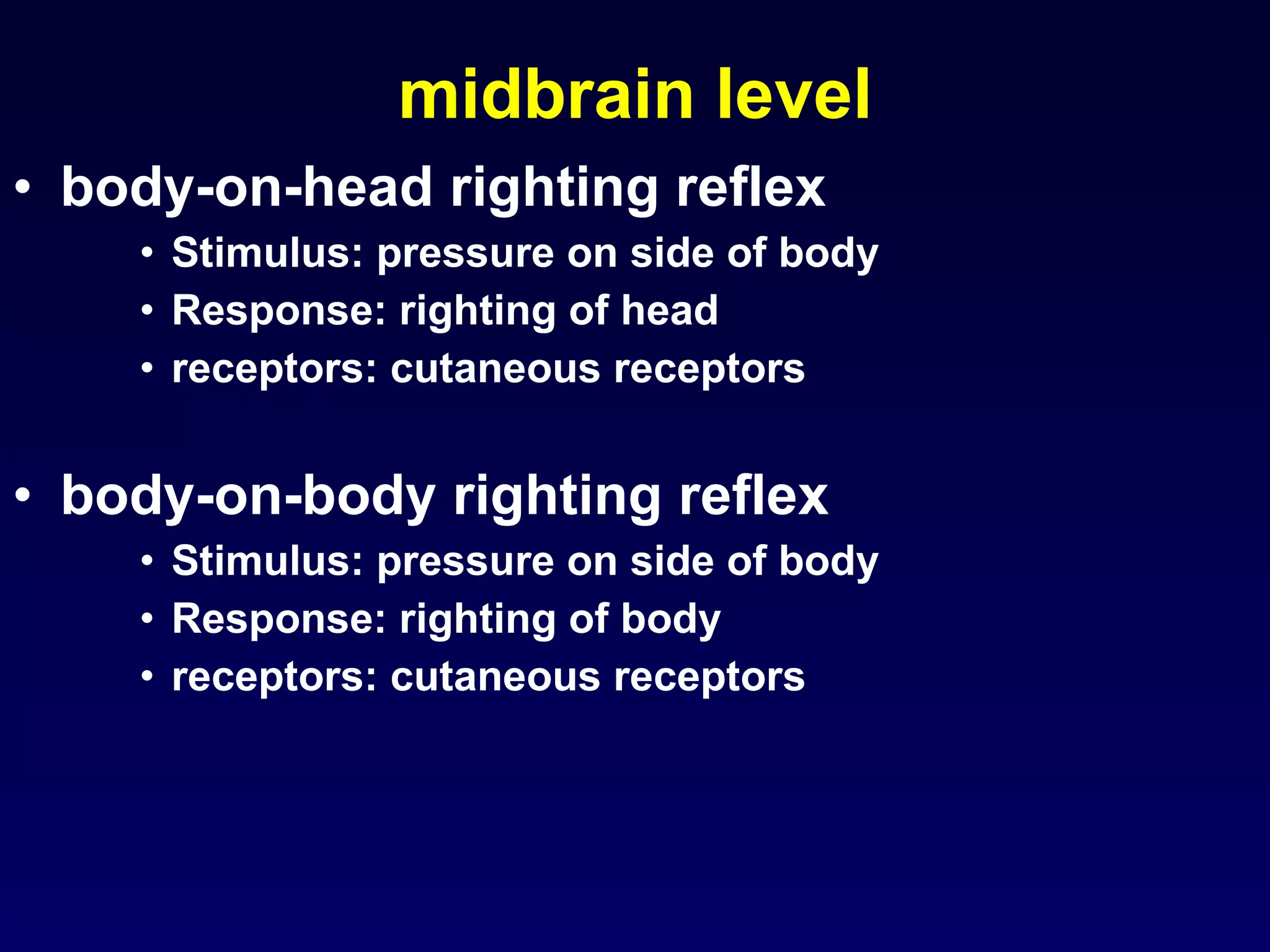 Motor system5 posture | PPT